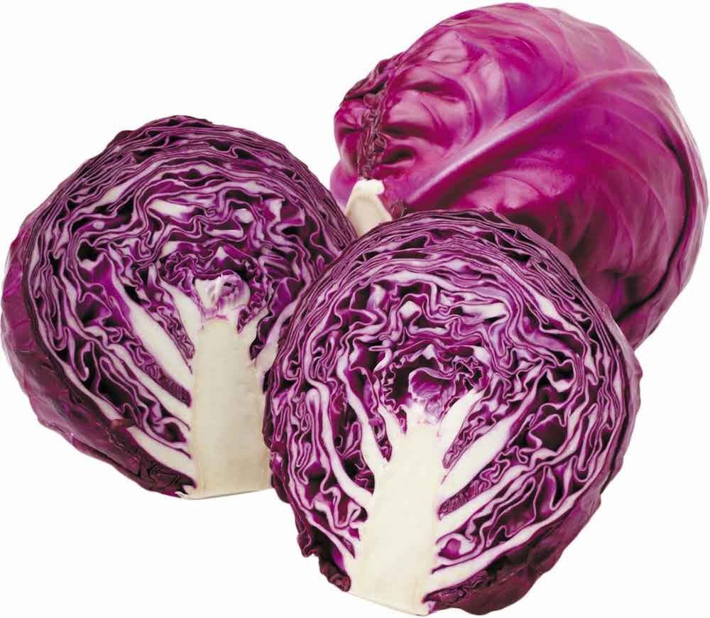 Red Cabbage 50LB – Produce Express